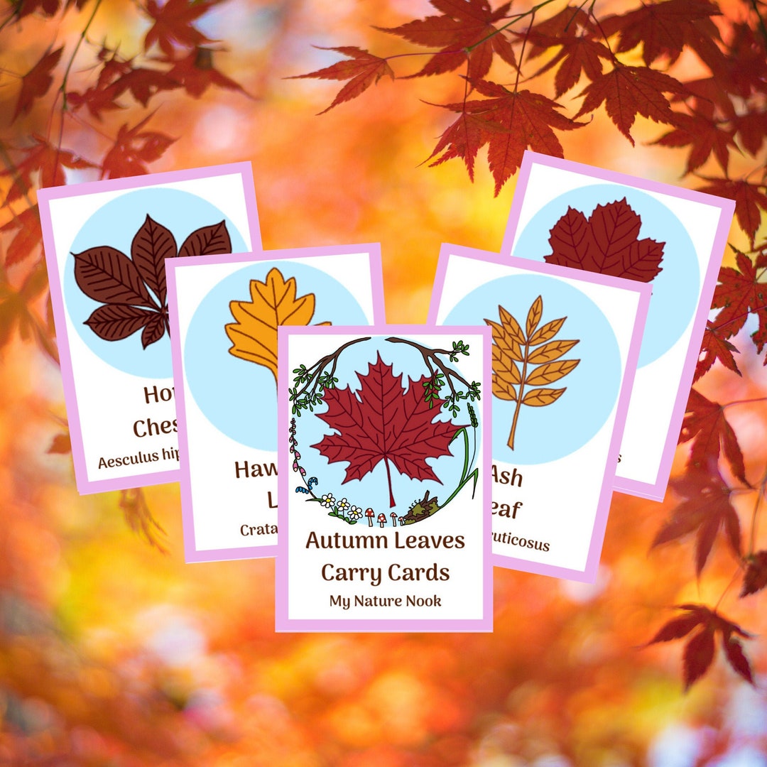 Autumn Leaves ID Cards | Flash Cards (printable PDF) - Etsy
