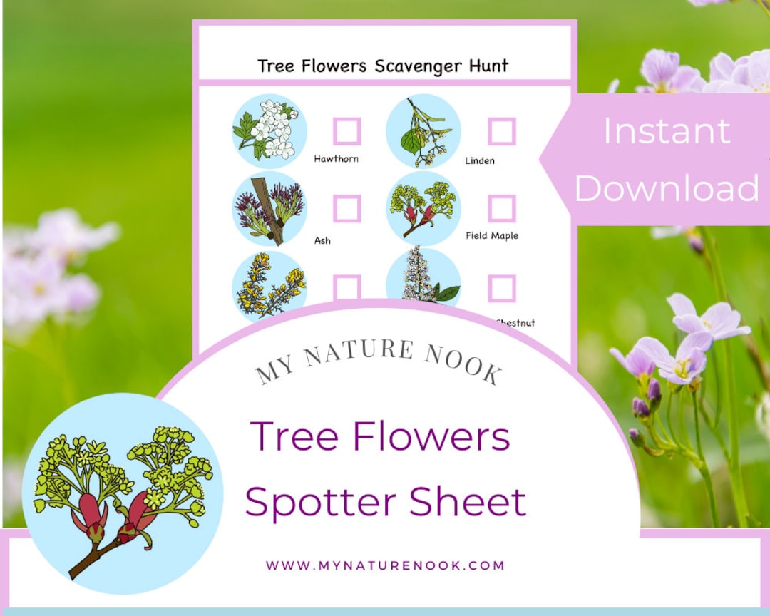 Tree Flowers Nature Walk Spotter (printable PDF) - Etsy