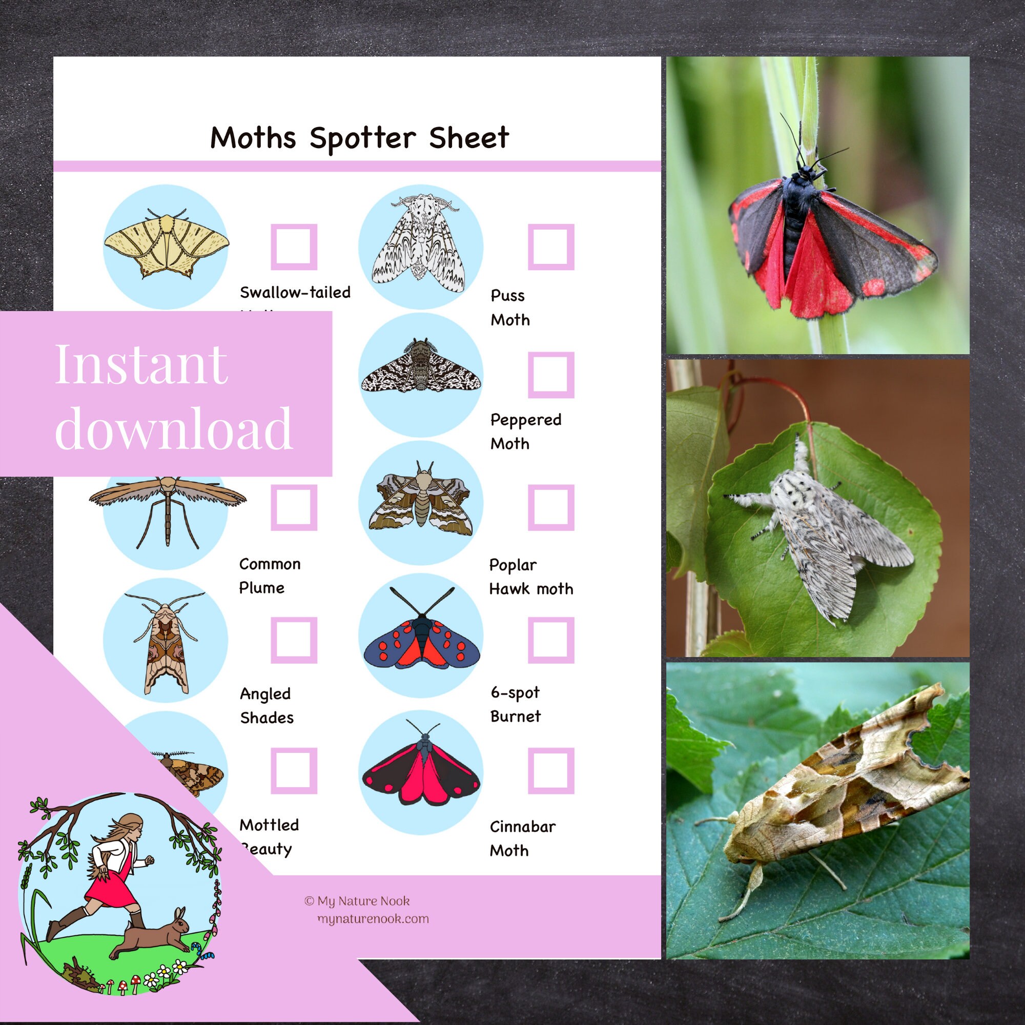 Nature Scavenger Hunt // Insects Bundle printable PDF - Etsy