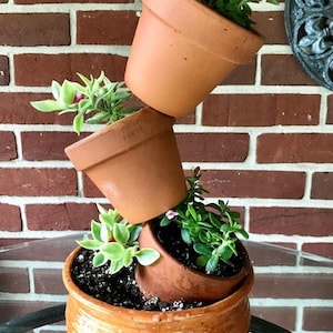 Tipsy Pot Pole for Table or Deck, Succulent Display, Gourds Display ...
