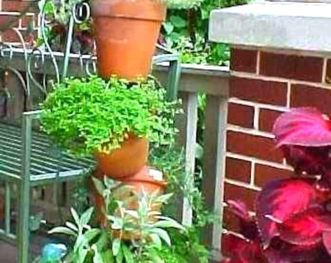 36"tipsy Pot Pole , DIY Vertical Planting, Gardener Christmas Gift, 1 ...