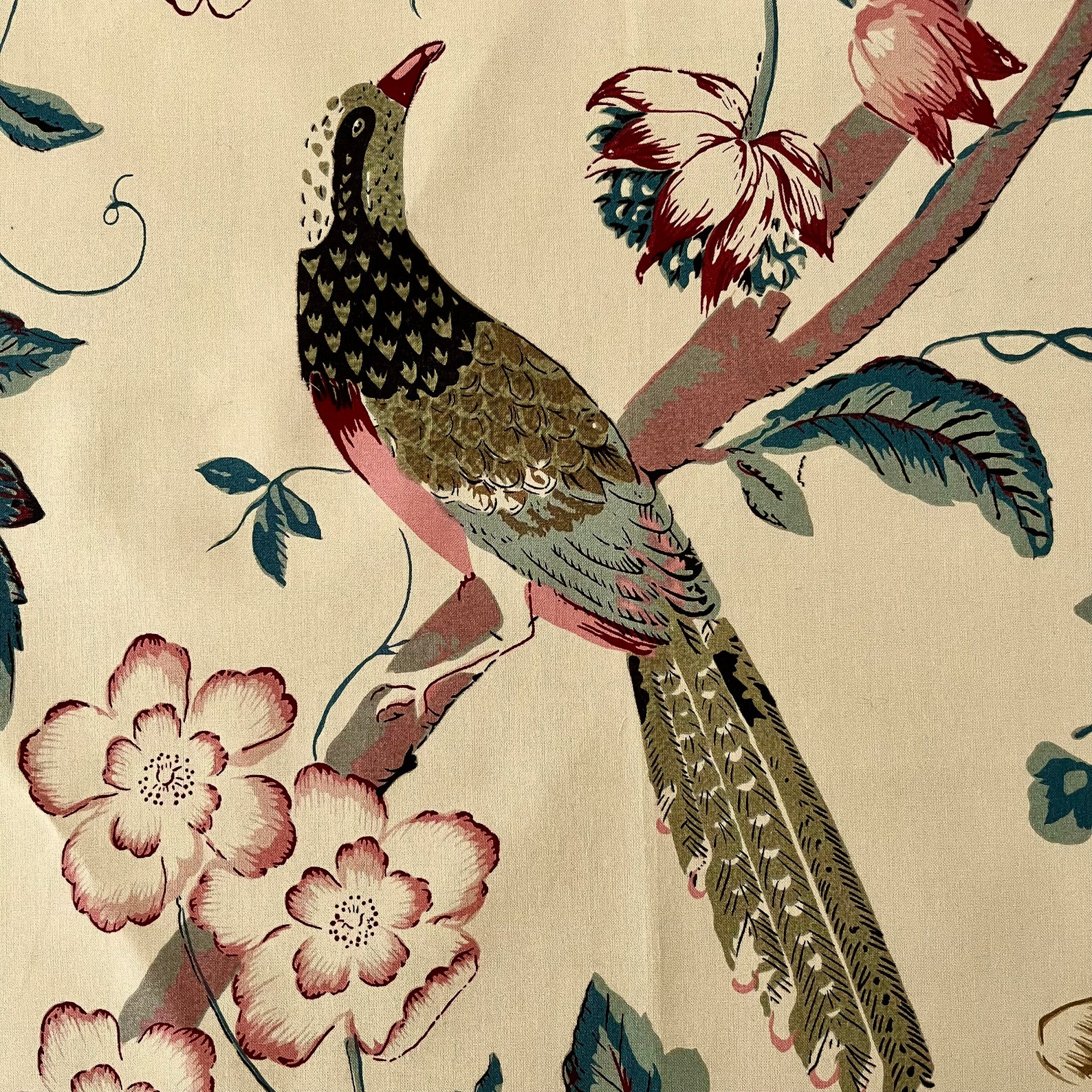 Rose Cumming Paradiso Fabric Sample – Floral Bird Print Cotton - Etsy
