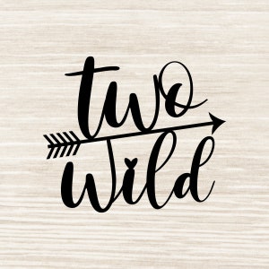 Two Wild SVG Second Birthday Cake Cupcake Topper Baby Boy Girl 2nd ...