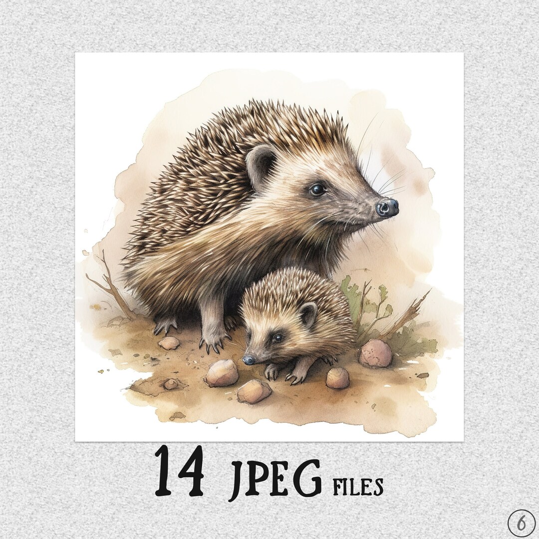 Watercolor Hedgehog 14 Jpegs Files Hedgehog Clipart Pack Hedgehog ...