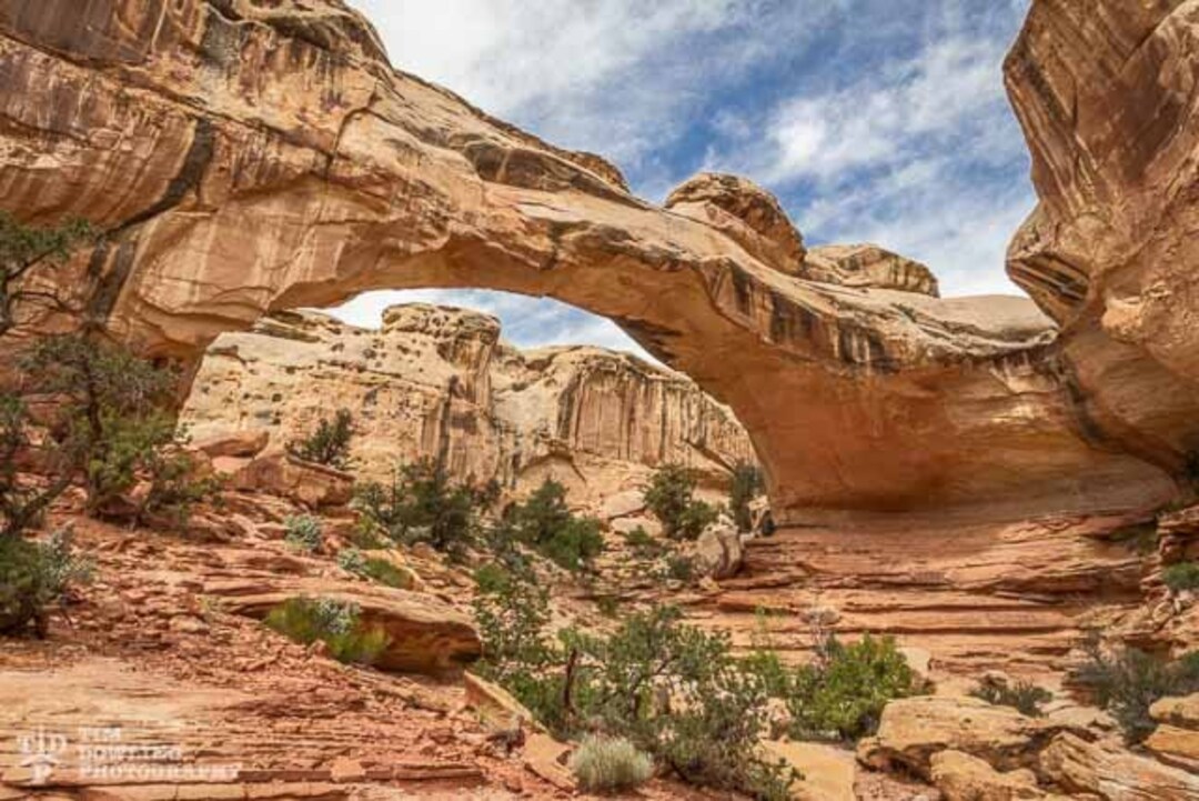 Hickman Natural Bridge Fine Art Print - 5x7 or 8x10 - Etsy