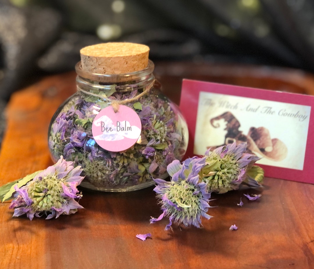 Dried Bee Balm From Witch’s Garden, Monarda, for Spells of Healing ...