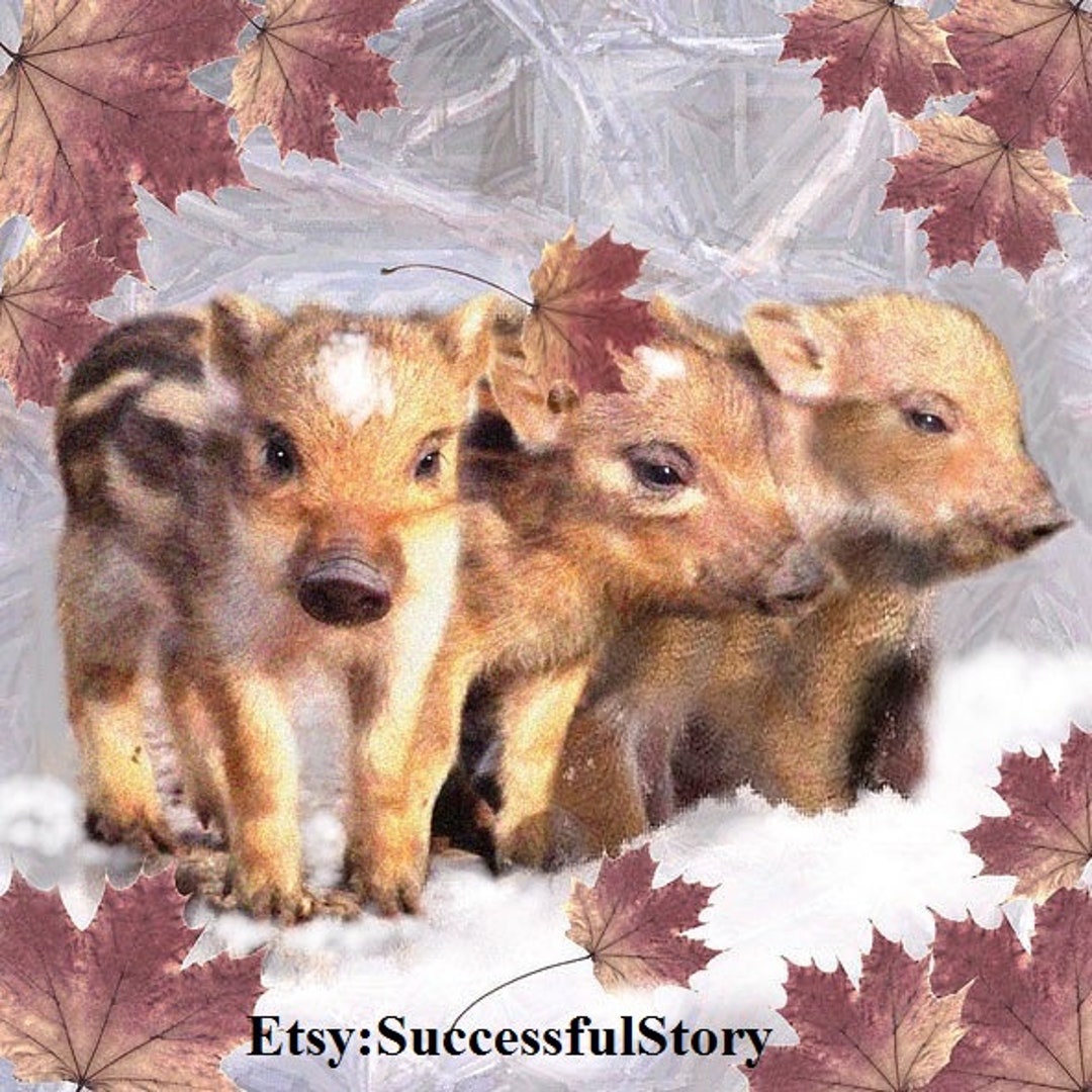 4 WILD BOARS, Paper Napkins for DECOUPAGE, Animal Print, Paper ...