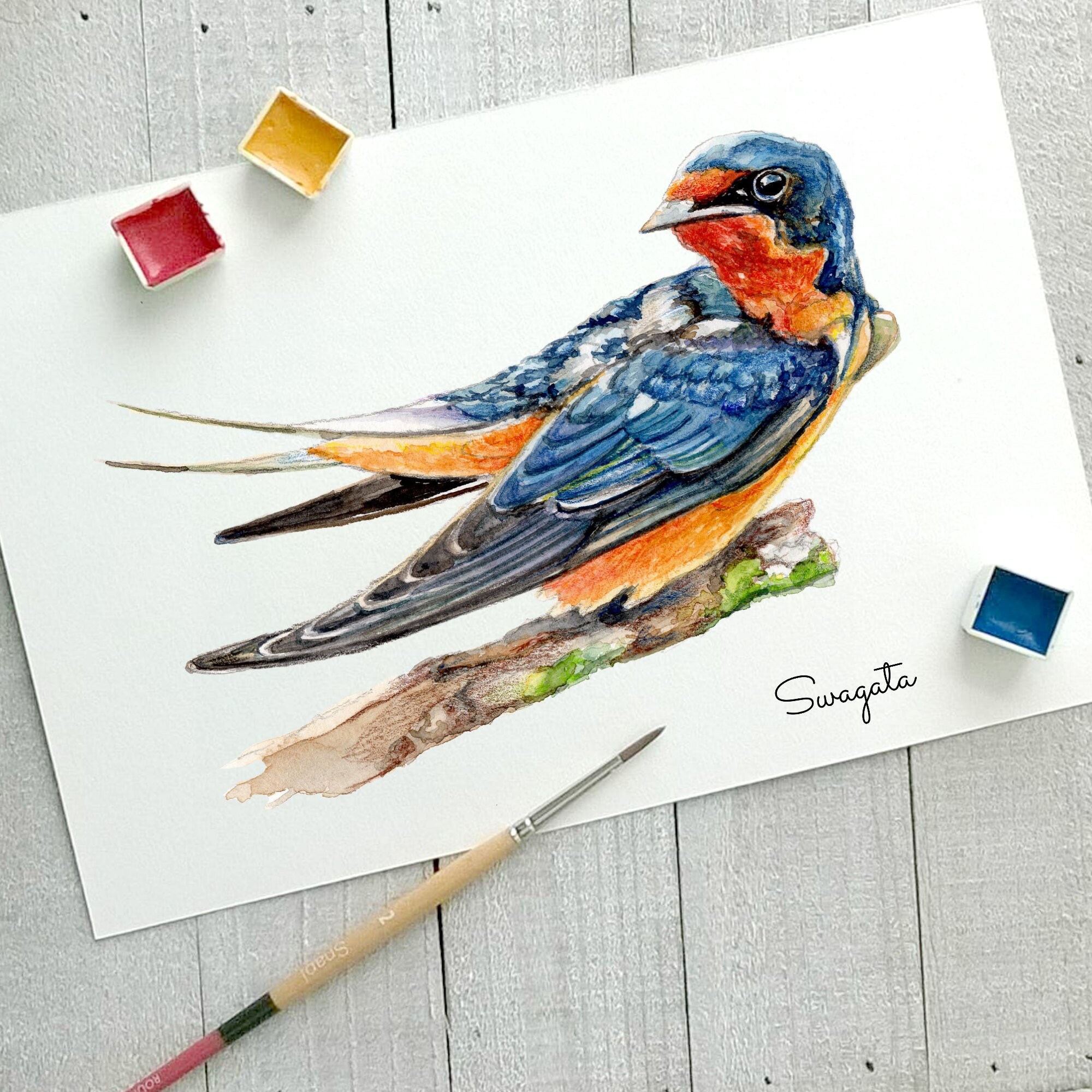 Set of 4 Bird Print, Downloadable Prints, Wren, Warbler, Barn Swallow ...