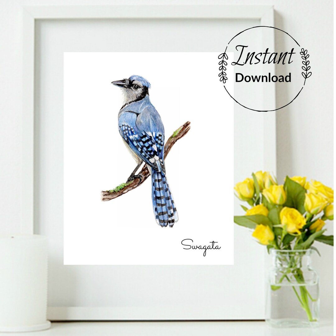 Blue Jay Bird Watercolor Painting, Digital Download, Bird Illustration ...