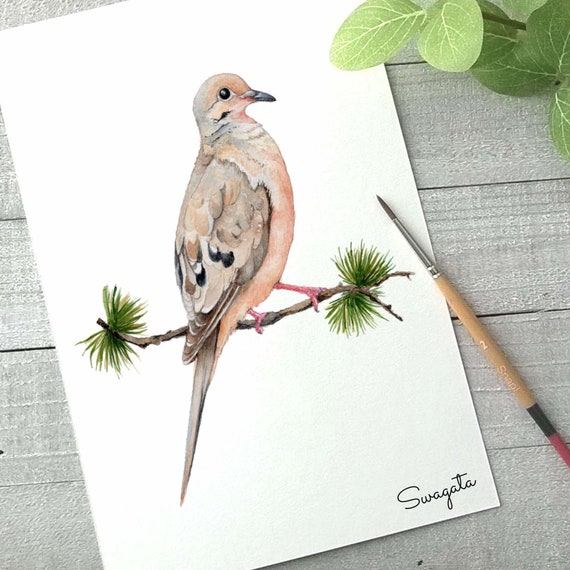 Mourning Dove Art Fluffy Mourning Dove Art Print By Al Mueller