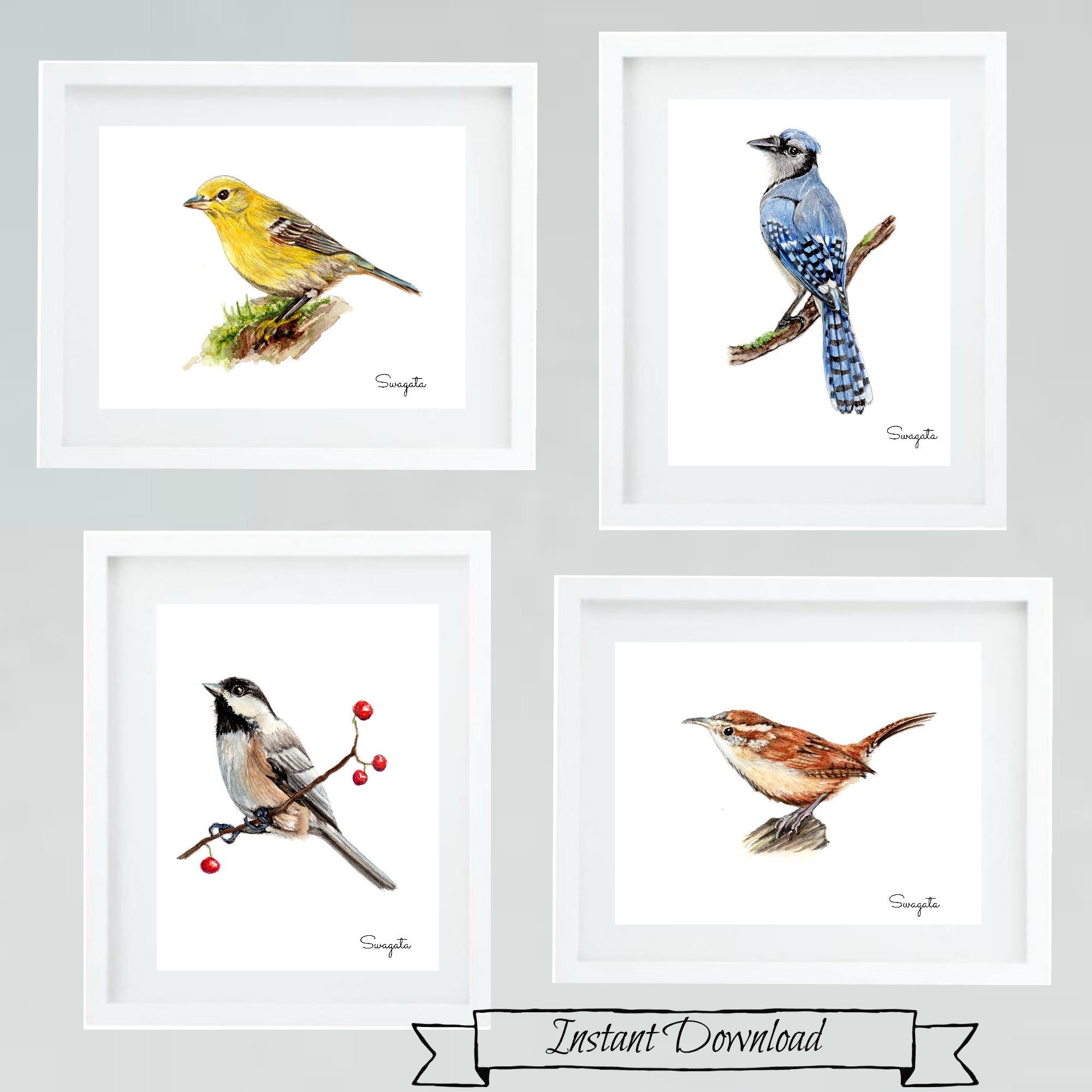 Wren watercolor bird painting Set of 4 bird print Bird wall art Barn ...