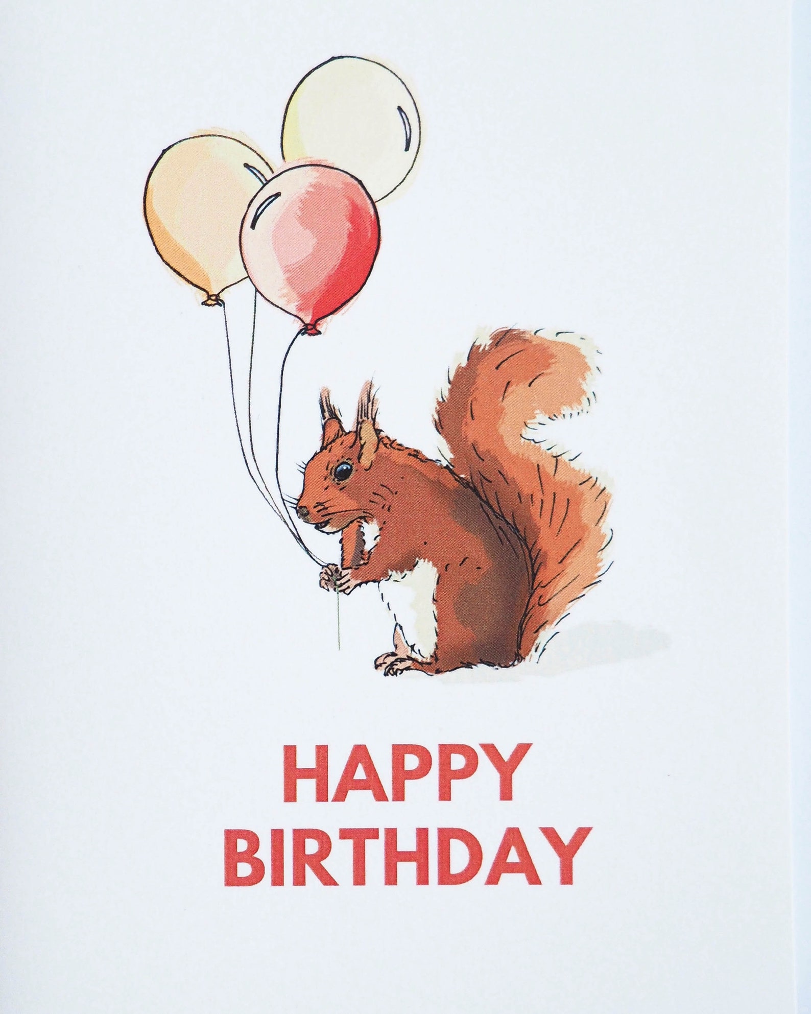 Squirrel Happy Birthday Card | Etsy