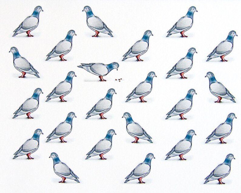 Pigeons Card - Etsy
