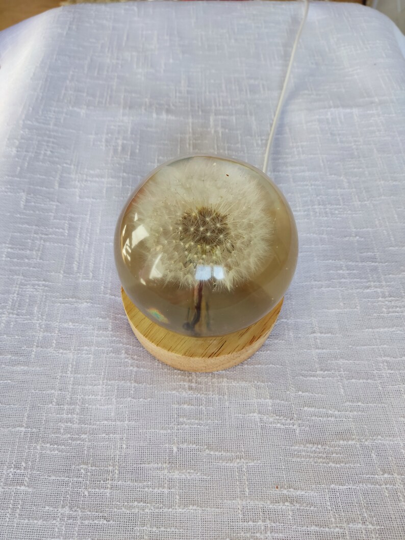 Dandelion Lamp - Etsy