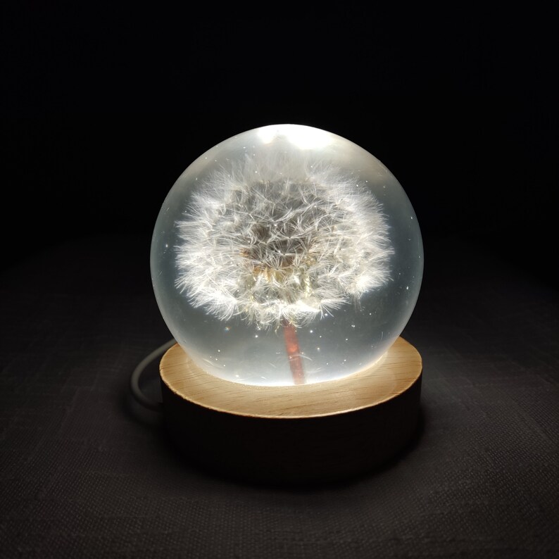 Dandelion Lamp - Etsy