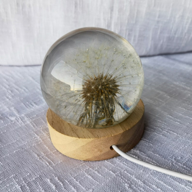 Dandelion Lamp - Etsy