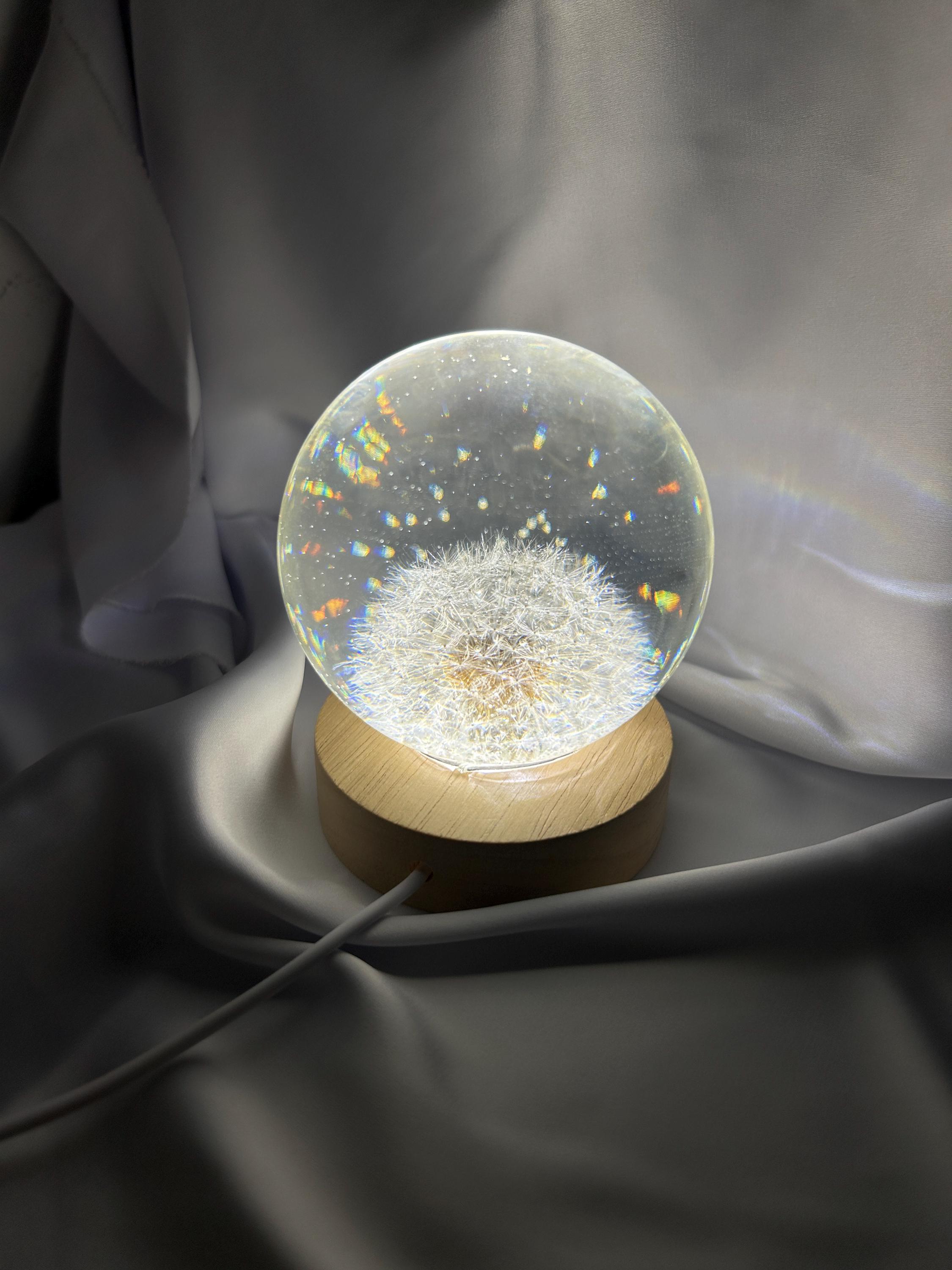 Dandelion Lamp Epoxy - Etsy