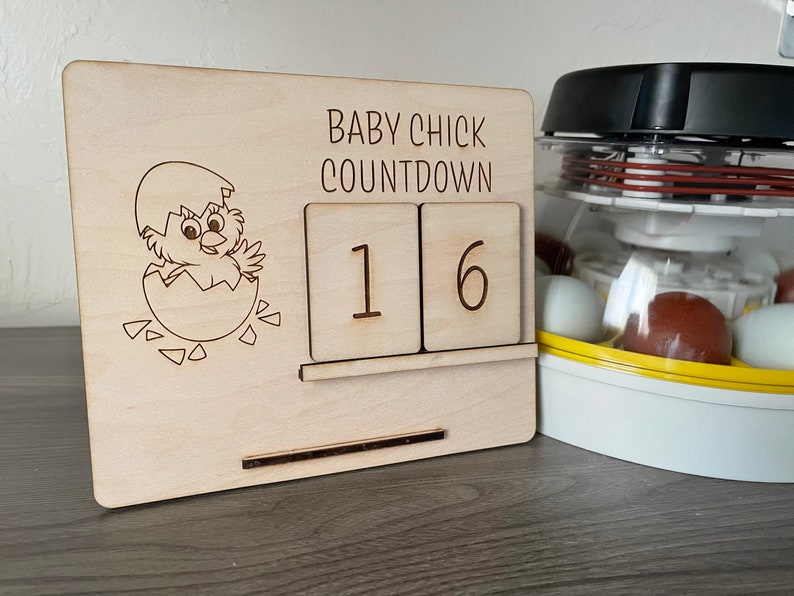 Baby Chick Countdown Incubator How Many Days Chicken Hatch - Etsy