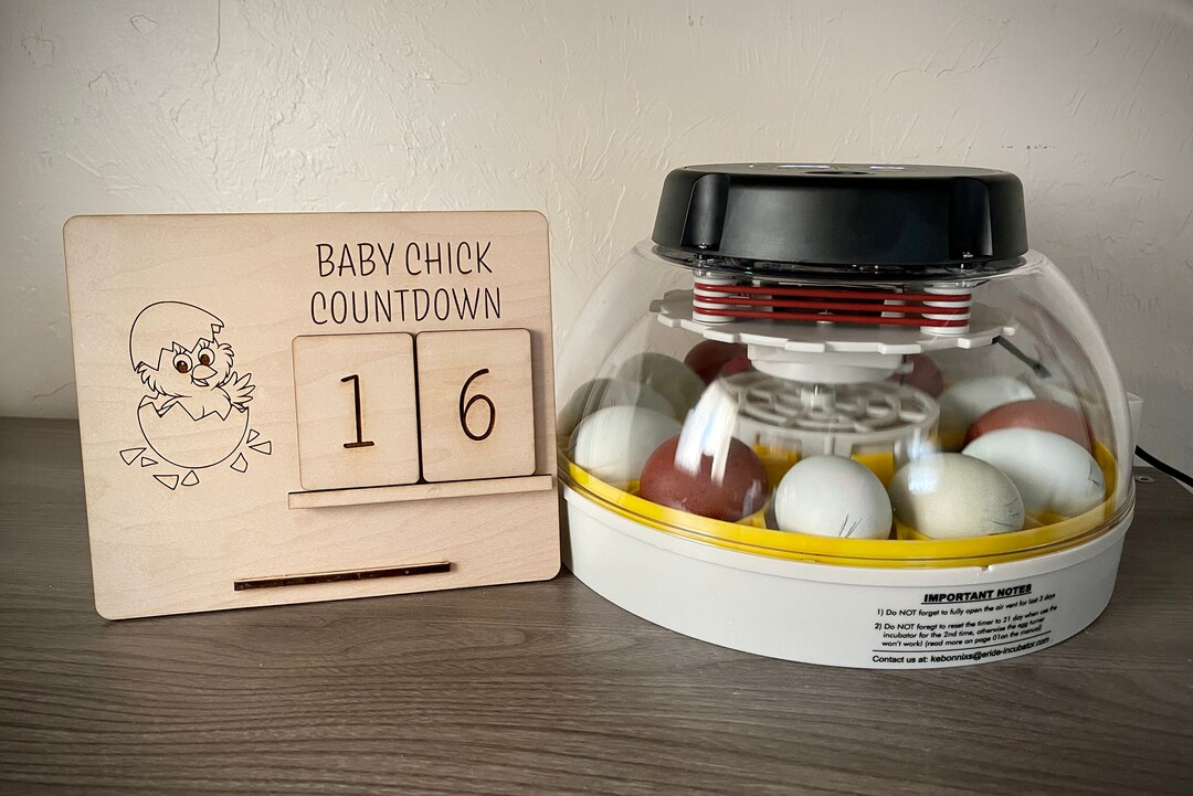 Baby Chick Countdown Incubator How Many Days Chicken Hatch Countdown ...
