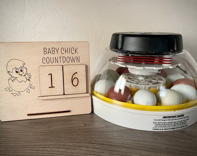 Baby Chick Countdown| Incubator | How Many Days| Chicken Hatch ...