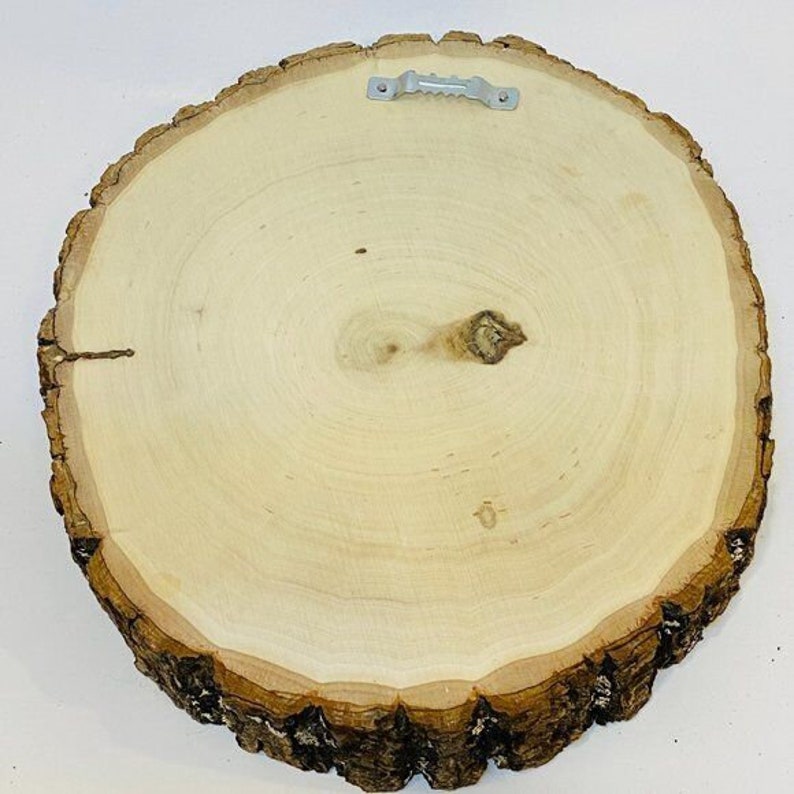 Tree Trunk Slice Wood Hand Painting Wall Decor Mountains Rockies Unique ...