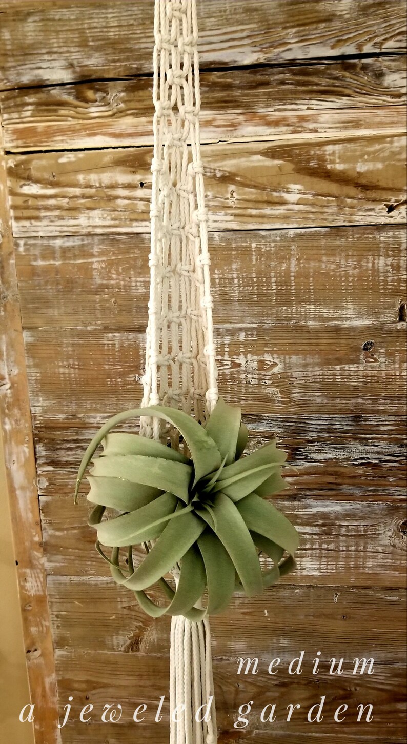 Macrame Plant Hanger Air Plant Hanger Bohemian Decor | Etsy