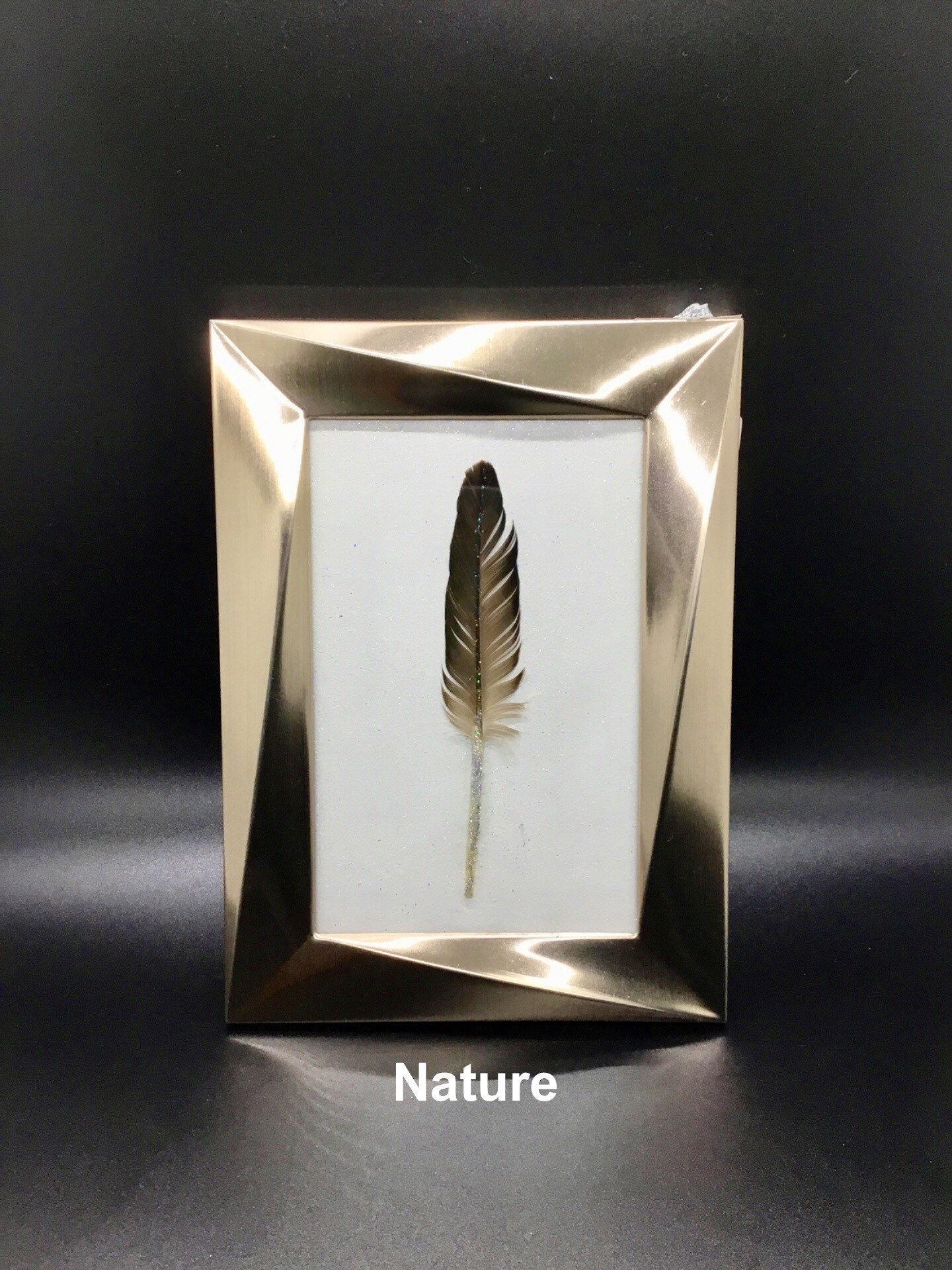 Framed Feather Real Feather Art Real Feathers Coastal Decor Beach House ...