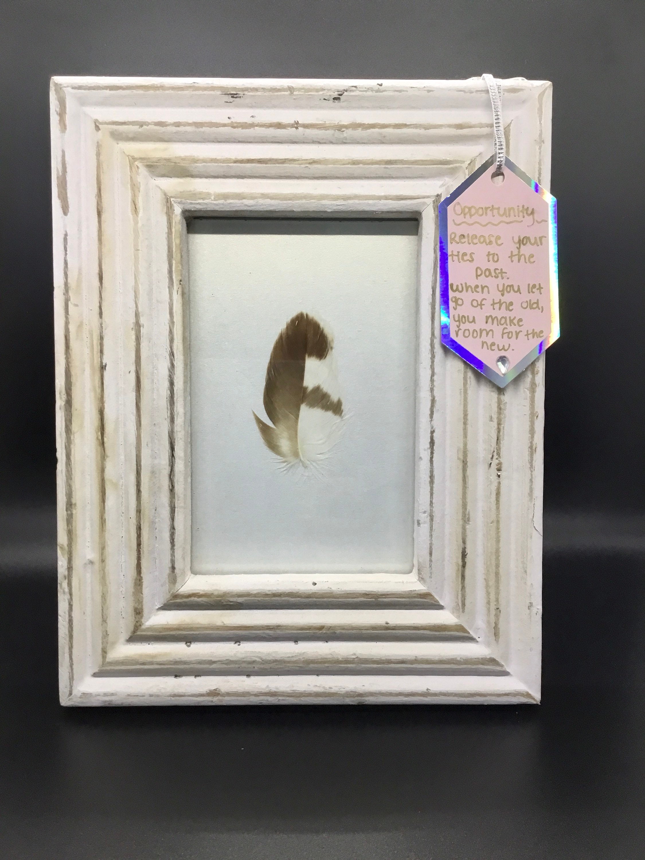 Framed Feather Real Feather Art Real Feathers Coastal Decor Beach House ...