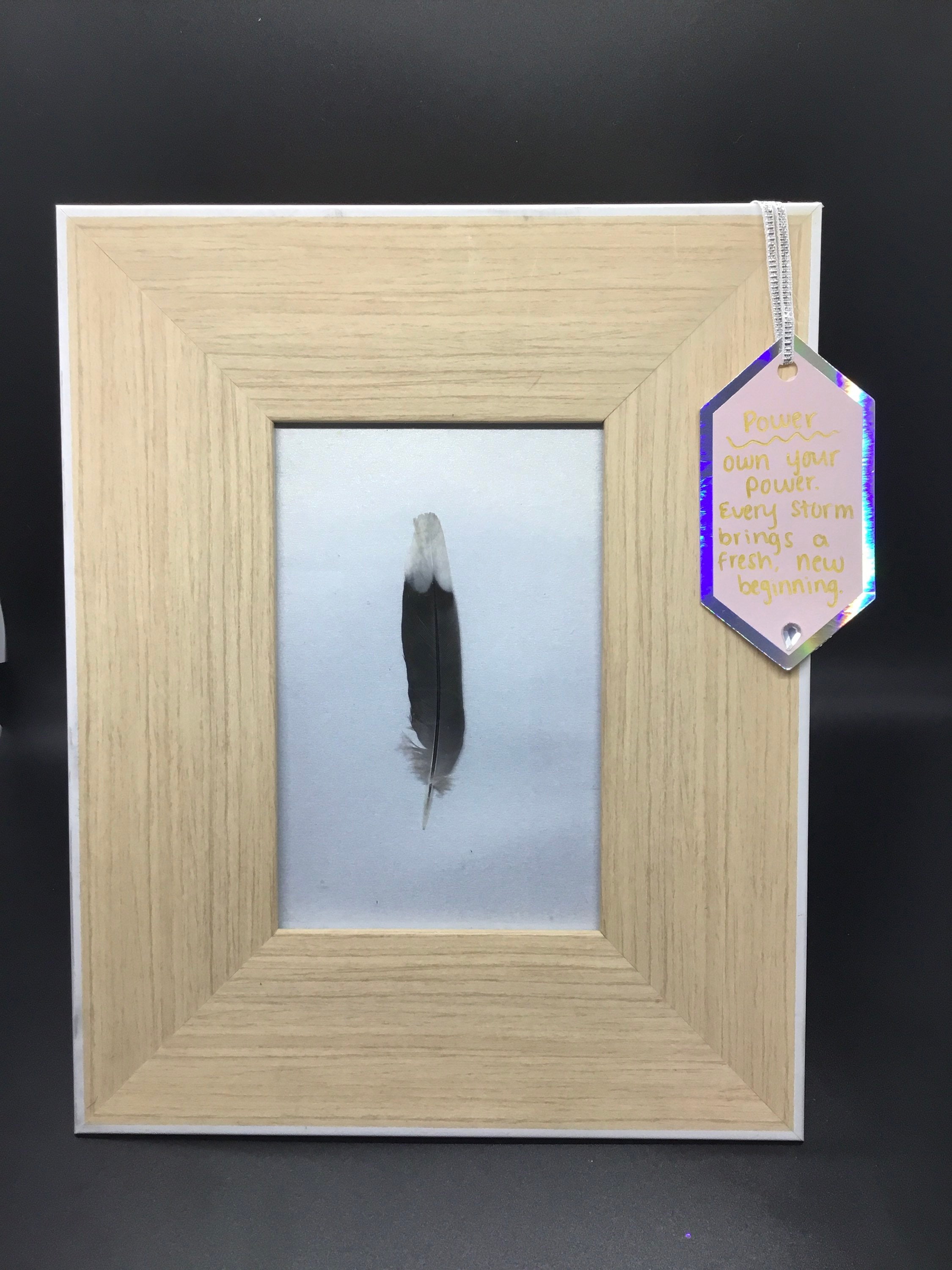 Framed Feather Real Feather Art Real Feathers Coastal Decor - Etsy