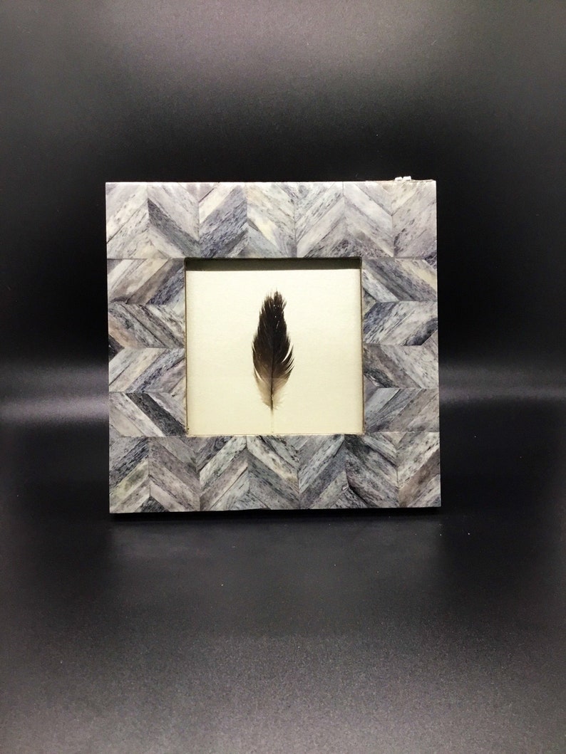 Framed Feather Real Feather Art Real Feathers Coastal Decor Beach House ...