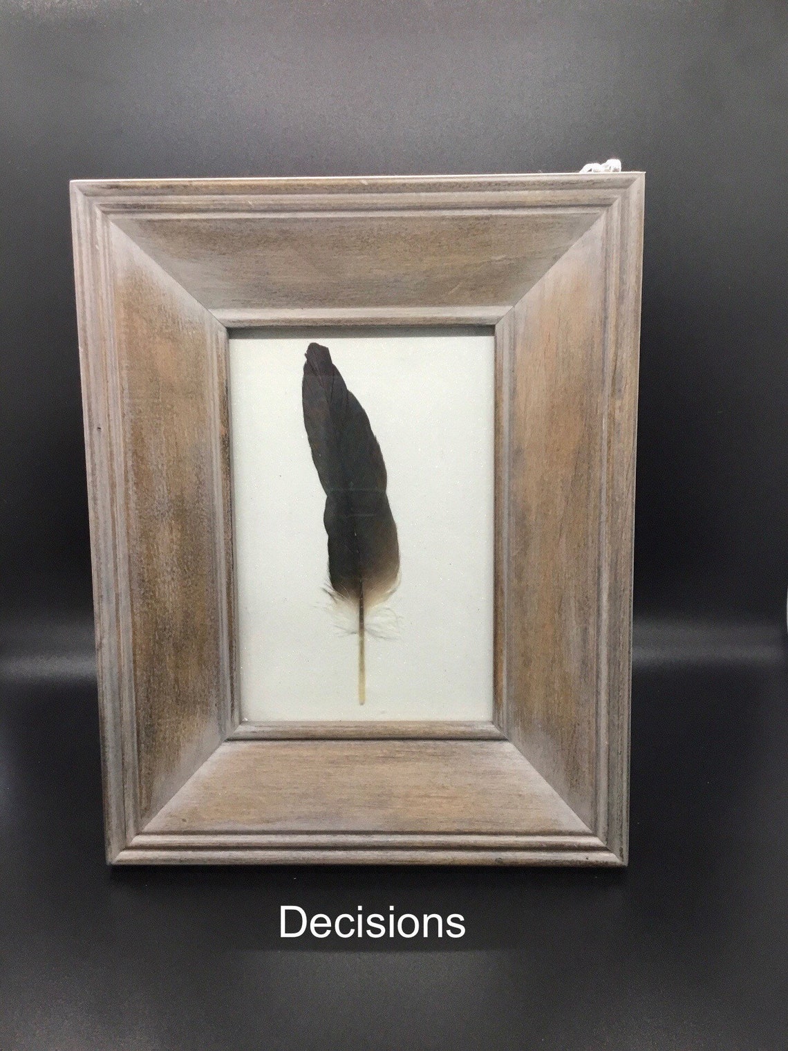 Framed Feather Real Feather Art Real Feathers Coastal Decor Beach House ...