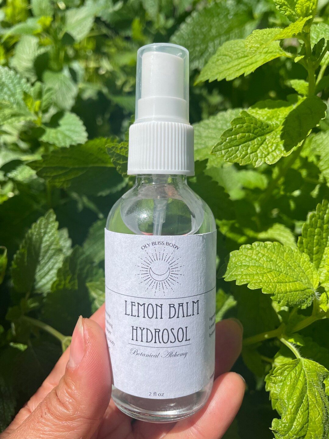 Organic Lemon Balm Hydrosol 2 Fl Oz - Etsy