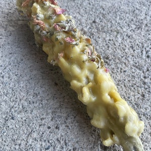 Mullein Candle Torch - Etsy