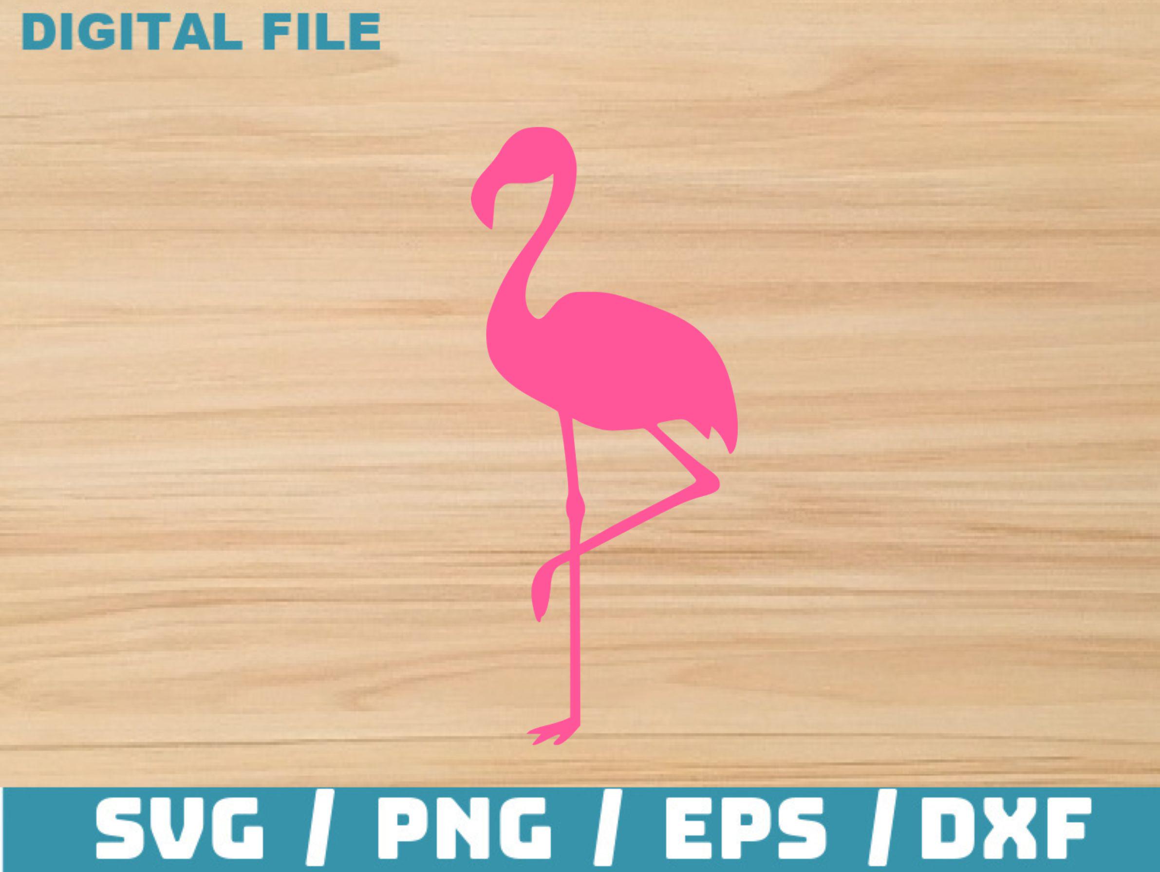Flamingo Svg, Flamingo Clipart, Beach Svg, Zoo Svg, Animal Svg, Cut ...