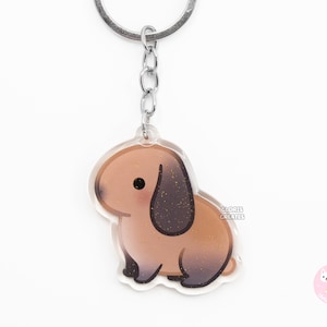 Black Tort Holland Lop Rabbit Acrylic Pet Keychain | Cartoon Kawaii Art ...