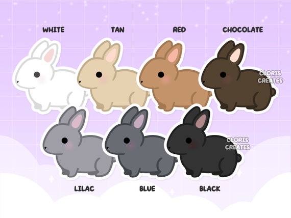 Chocolate Rex Rabbit