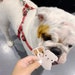 Red English Bulldog Dog Breed Waterproof Vinyl Sticker - Etsy