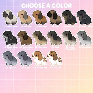Holland Lop Rabbit Breed Die Cut Sticker Cute Custom Pet | Etsy