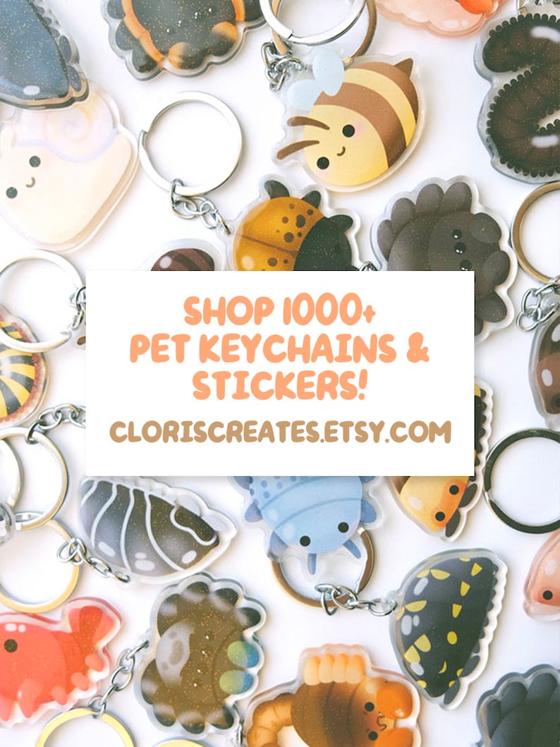 Gestroi Isopod Roly Poly Insect Bug Keychain | Cartoon Chibi Pet Art ...