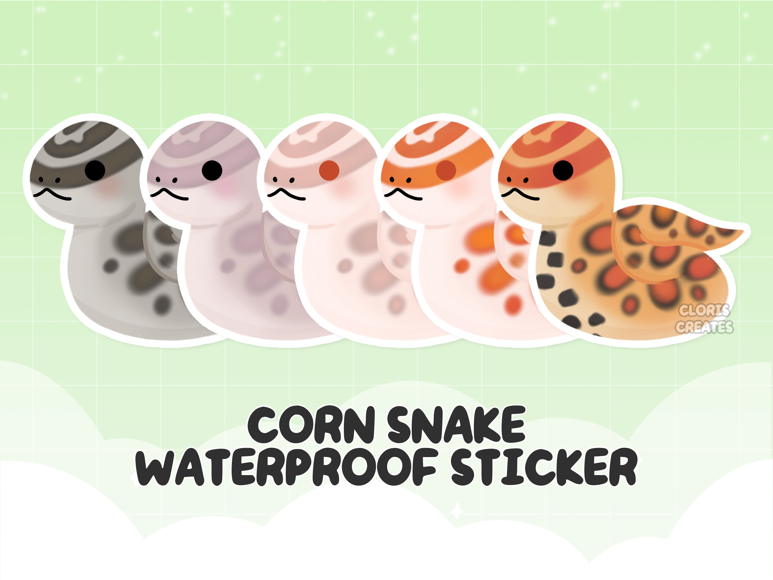 Cute Corn Snake