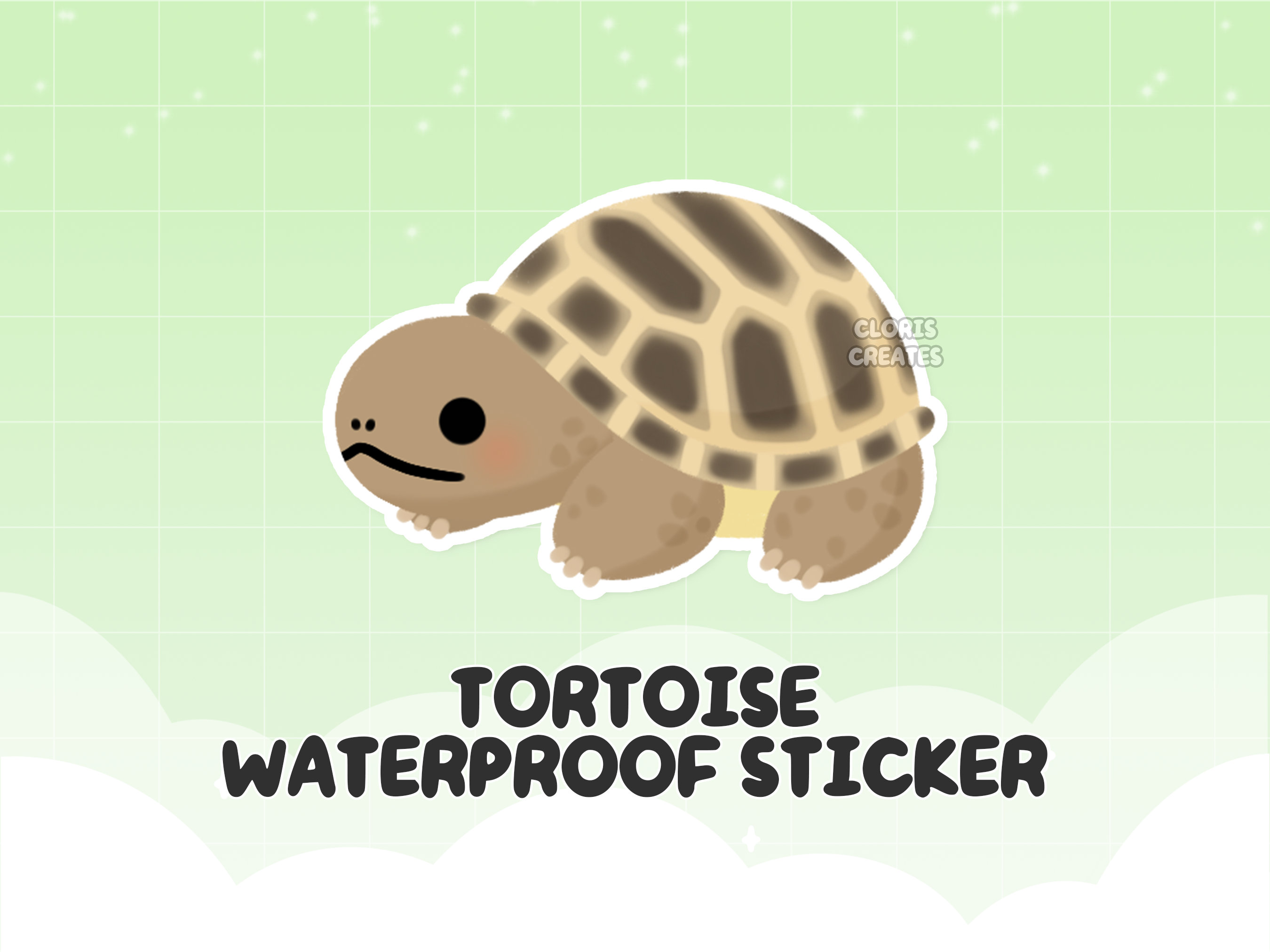 Russian Tortoise Clipart