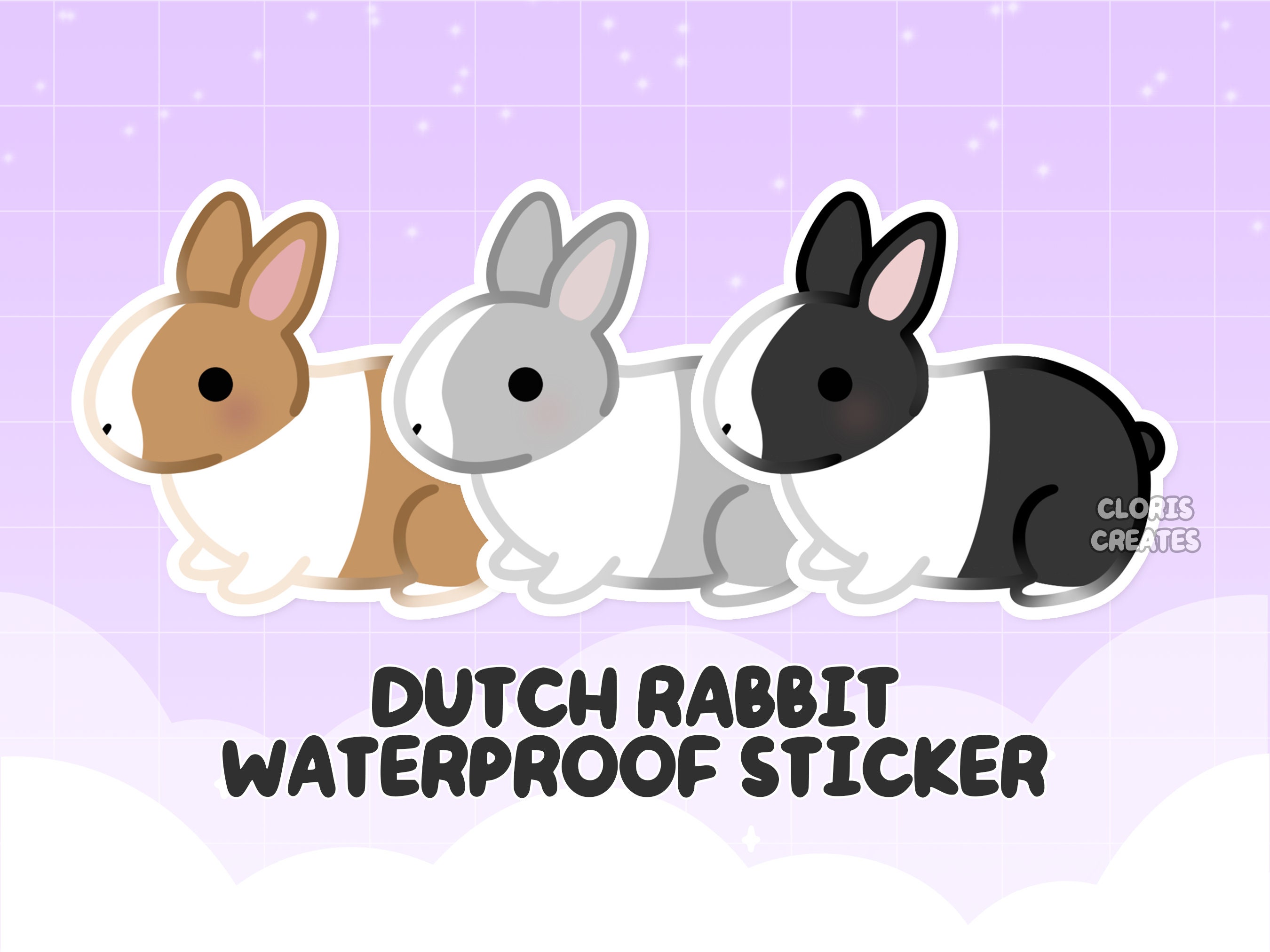 Harlequin Dutch Rabbits