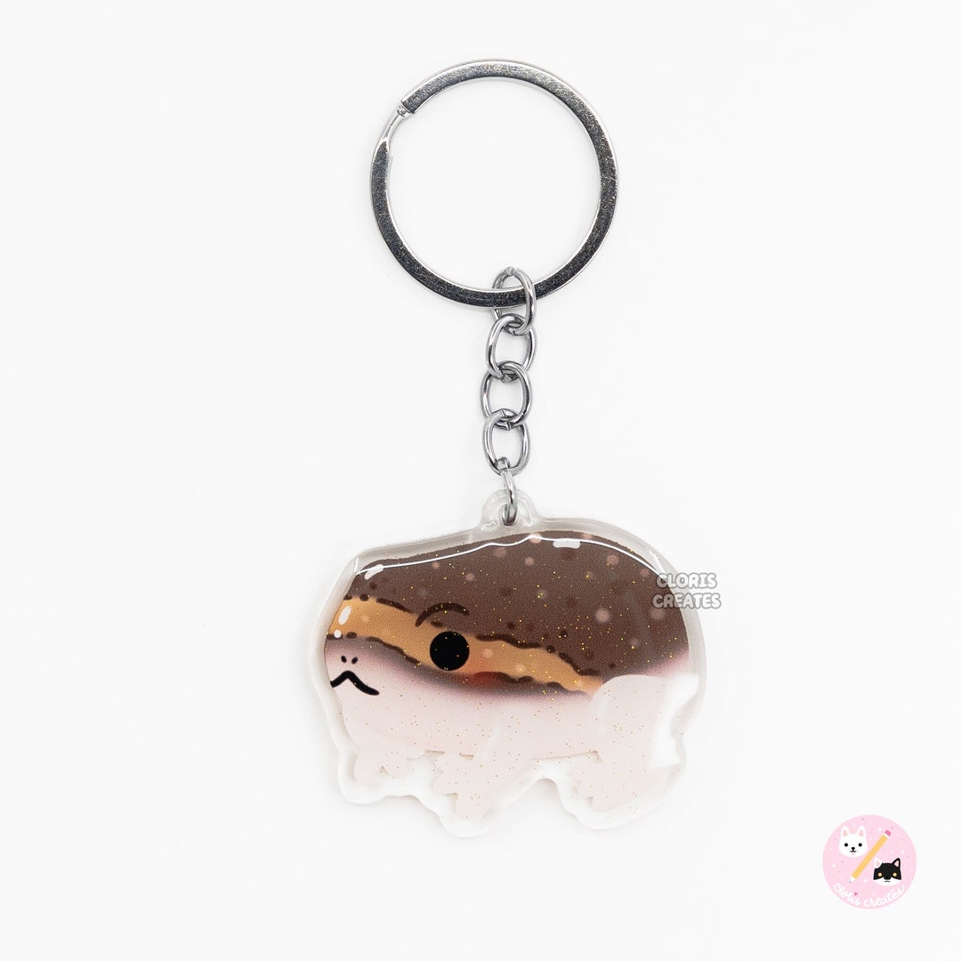 Asian Painted Banded Bullfrog Acrylic Desert Rain Frog Keychain ...