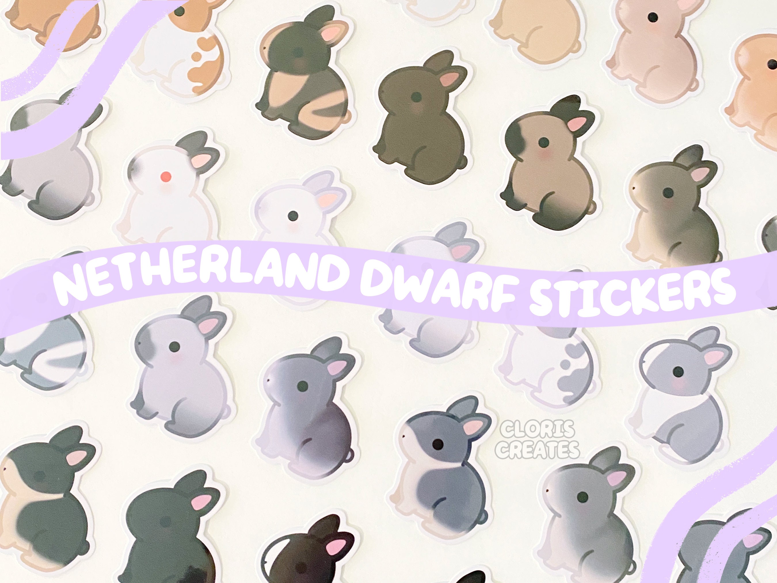 Blue Eyed Netherland Dwarf Rabbits