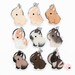 Harlequin Netherland Dwarf Rabbit Acrylic Pet Breed Keychain | Cartoon ...