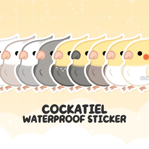 Cuddly Cockatiel Sticker Cute Birb Stickers Kawaii - Etsy