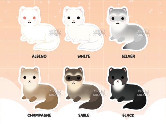 Chibi Ferret Drawing