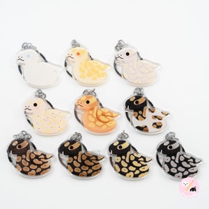 Wild Ball Python Acrylic Snake Keychain | Cartoon Kawaii Art Exotic Pet ...