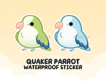 Quaker Parrot Sticker - Etsy
