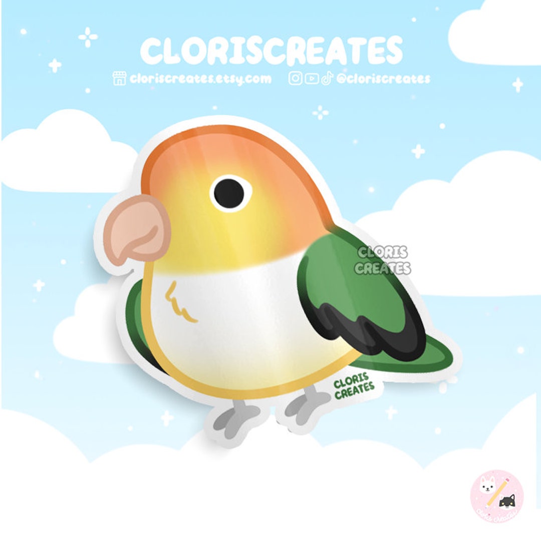 White Bellied Caique Parrot Bird Breed Waterproof Vinyl Sticker ...